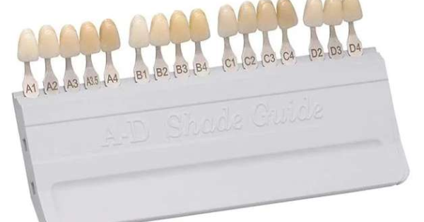 628587 Universal A-D Shade Guide